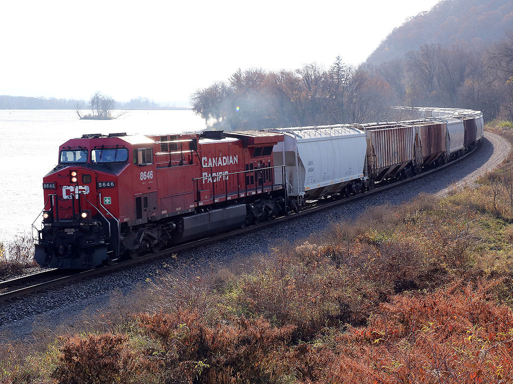 CP 8646